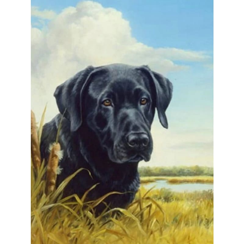 Labrador – Diamond Painting Kits